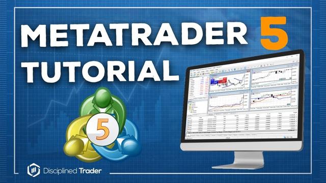 O uso do MetaTrader 5 é gratuito? Descubra o custo do software MetaTrader 5