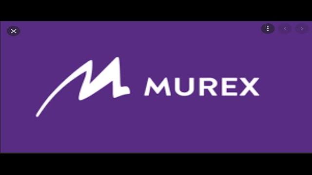 Understanding Murex: The Powerful Trading Platform
