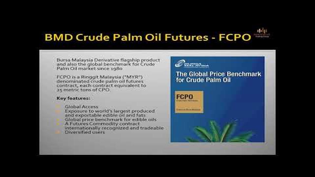 Understanding the Role of a CPO in Trading: Key Responsibilities and ...