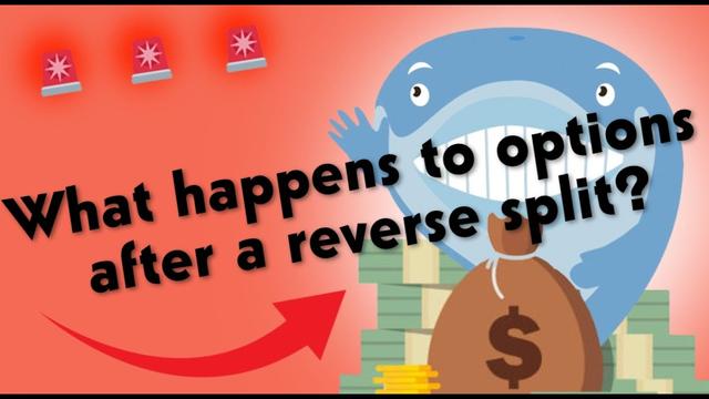 What Happens to Options with a Reverse Split: All You Need to Know