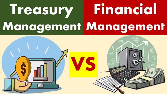 Understanding the Differences Between Risk Management and Treasury ...