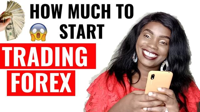 What is the Minimum Amount to Invest in Forex? - Explained