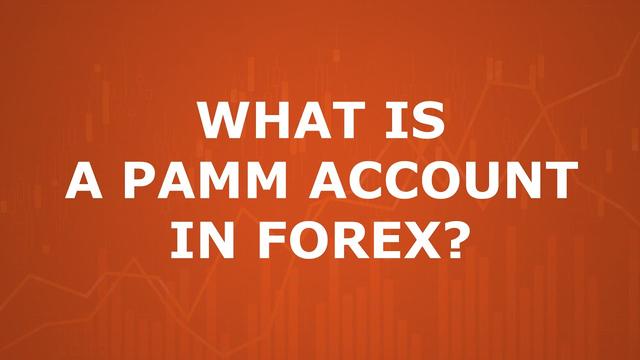 ¿Es seguro utilizar PAMM? Descubra los riesgos y beneficios