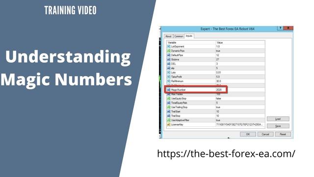 Understanding the Significance of Magic Numbers in EA Forex Trading