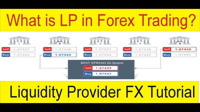 O que é um corretor de LP: Tudo o que você precisa saber