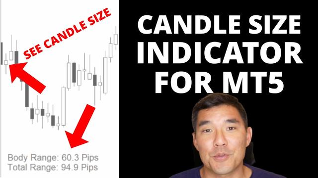 Understanding the Candle Body Size Indicator in MT5: A Comprehensive Guide
