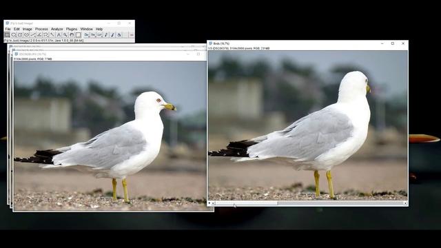 Learn How to Stack Two Images in ImageJ: Step-by-Step Guide