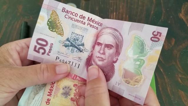 我应该用 MXN 还是美元支付？ 最佳货币选择指南