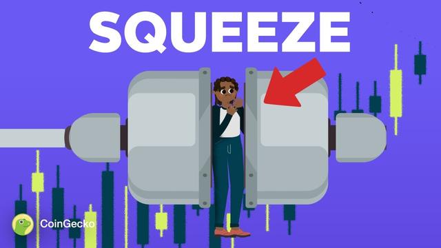 Understanding the Squeeze Indicator in Forex Trading: Everything You ...