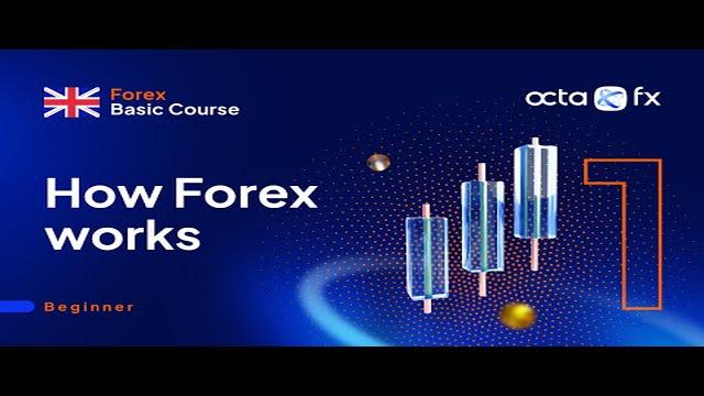 OctaFX vs Forex: Comprender las principales diferencias