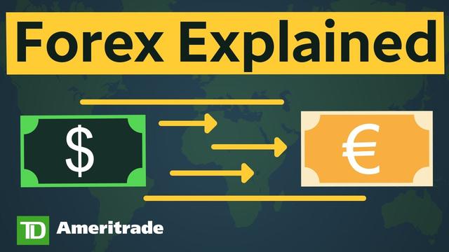 Understanding the Role of a Forex Company: Key Responsibilities and ...