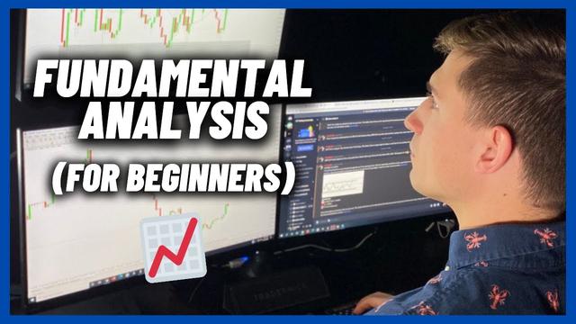 Understanding the Fundamentals in Forex: A Comprehensive Guide