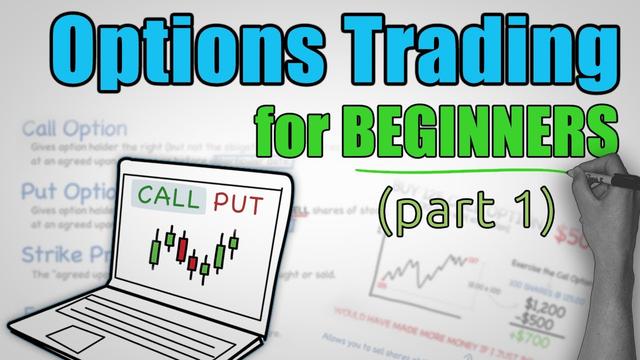Exploring Options Trading with Real-Life Examples