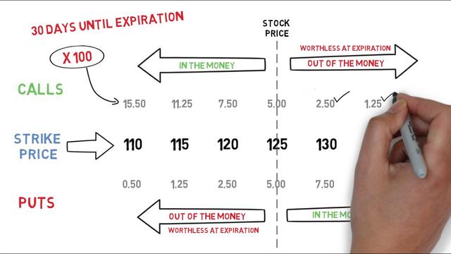 Understanding the Relationship Between Share Quantity and Option Prices